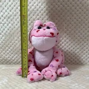 GANZ | Toys | Ganz Webkinz Love Frog Plush Valentine Hearts | Poshmark